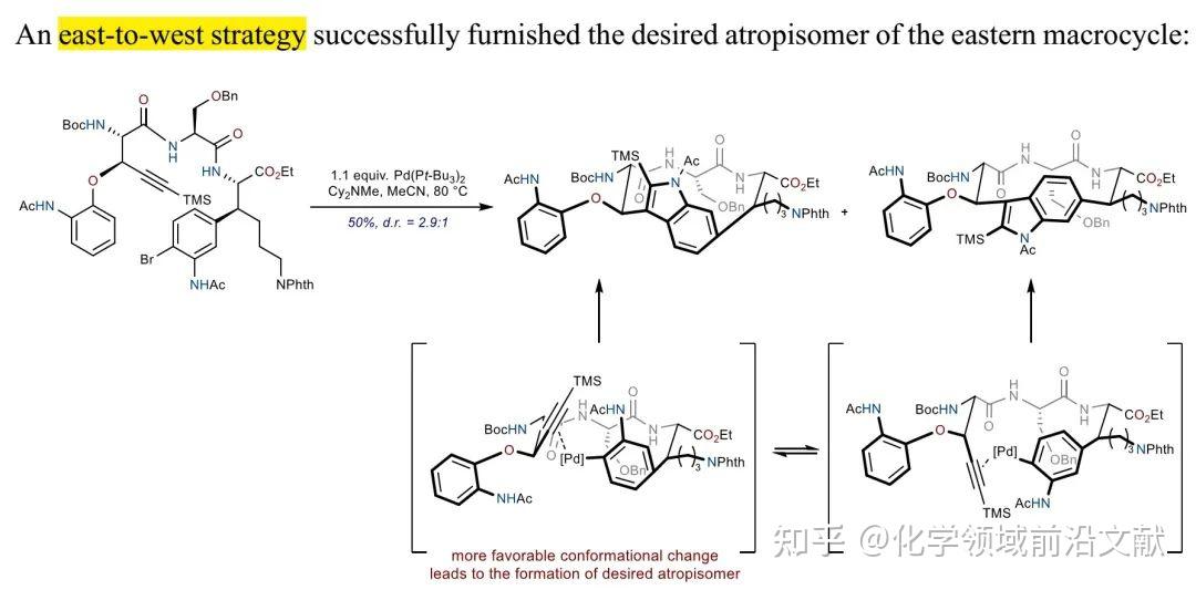 抗生素Darobactin A全合成方法1：Sarlah组和默克公司产学研合作成果 - 知乎
