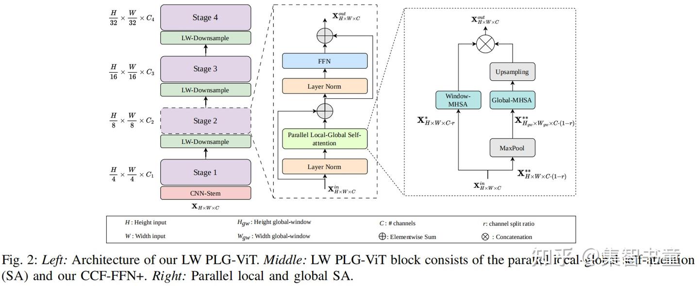 全新ViT Backbone | PLG-ViT 同时具有并行局部和全局自注意力的轻量化视觉Transformer - 知乎
