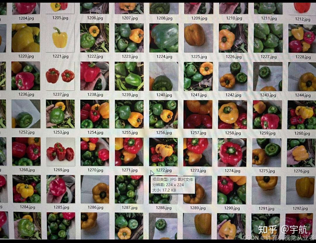 蔬菜识别数据集 蔬菜数据集 用于训练，有十种蔬菜，如图已经标注好的版本 - 知乎