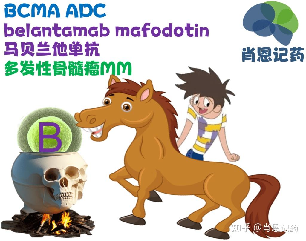 记住所有FDA生物药 | BCMA ADC | Belantamab mafodotin 马贝兰他单抗 | 多发性骨髓瘤MM - 知乎