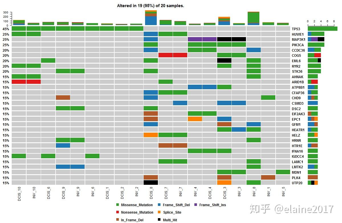 利用maftools分析annovar的注释结果 - 知乎