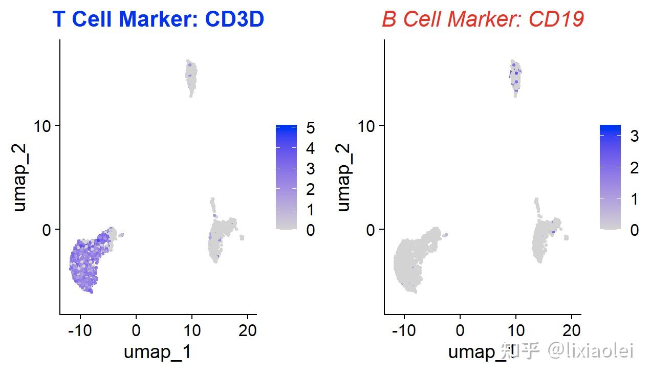 Seurat FeaturePlot 终极美化教程：从基础到高级，绘制高颜值基因表达图谱 - 知乎
