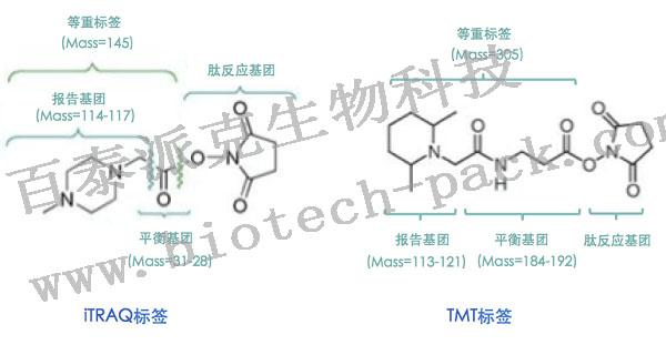 TMT、iTRAQ、MultiNotch定量蛋白组学分析 - 知乎