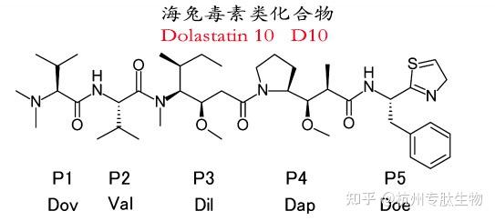 （海兔毒素）线性和大环含吡咯烷环修饰的Dolastatin 10类似物的合成和评价 - 知乎