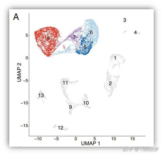 单细胞UMAP图只标记特定细胞群、圈定细胞群及坐标轴修改 - 知乎
