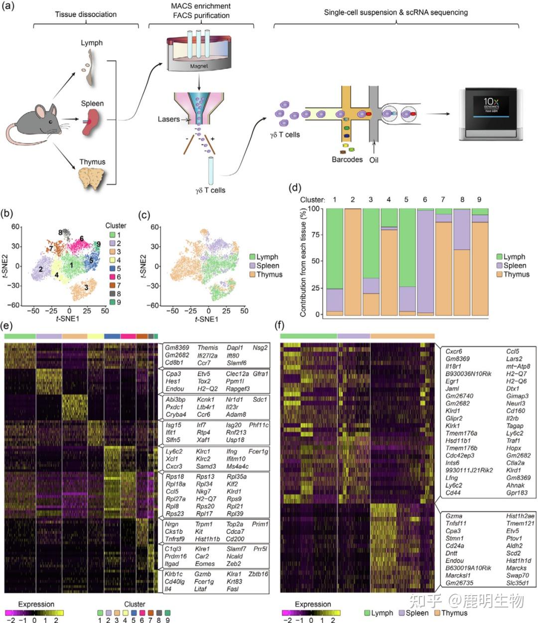 百篇单细胞测序领域文章集 - 知乎