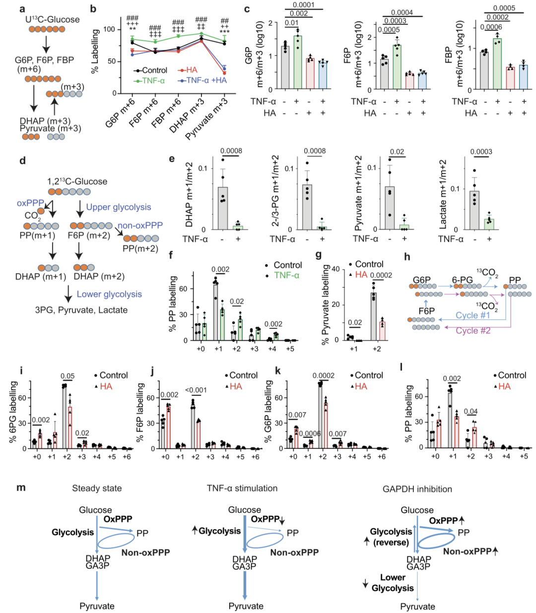 Nature子刊丨严重 COVID-19 中的中性粒细胞代谢组学揭示 GAPDH 是中性粒细胞胞外陷阱形成的抑制剂 - 知乎