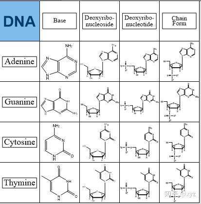 ChemDraw 选项的翻译与介绍 - 知乎