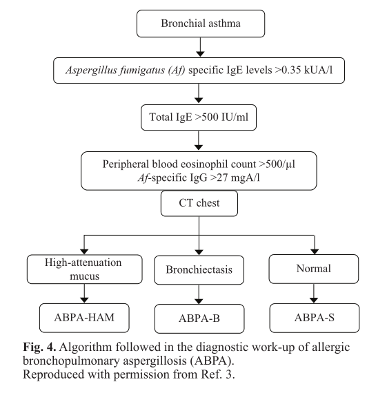 ABPA，支气管哮喘背后的“隐形杀手” - 知乎