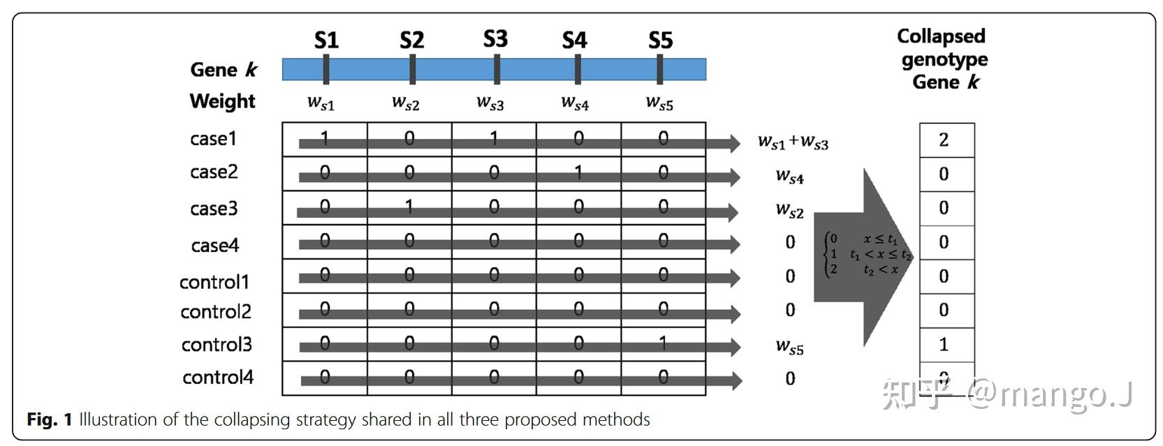 【学习笔记】GxGrare:基于GMDR对罕见变异进行基因-基因相互作用分析 - 知乎