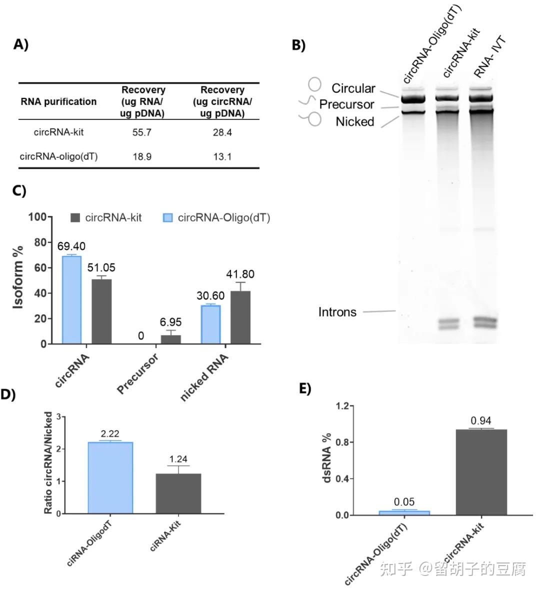 大规模制备circRNA: 从Oligo dT亲和层析到冻干制剂 - 知乎