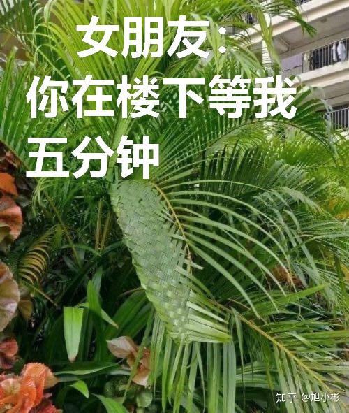 三分钟轻松了解英语中的having done - 知乎