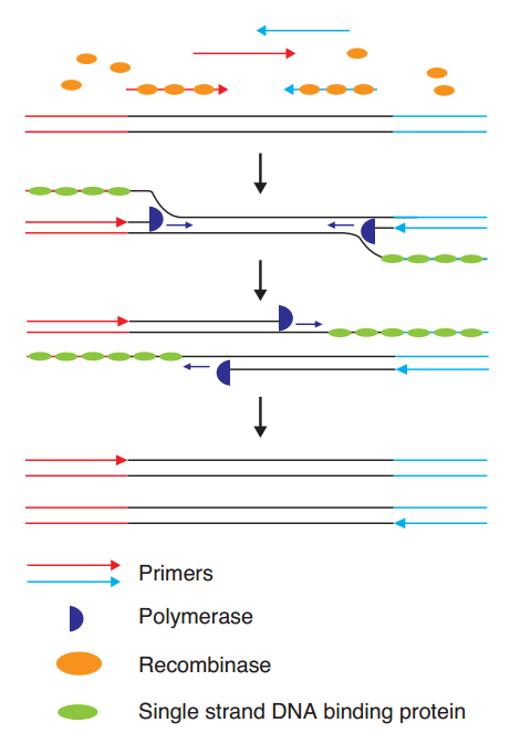 关于C2c2的老故事 - 知乎