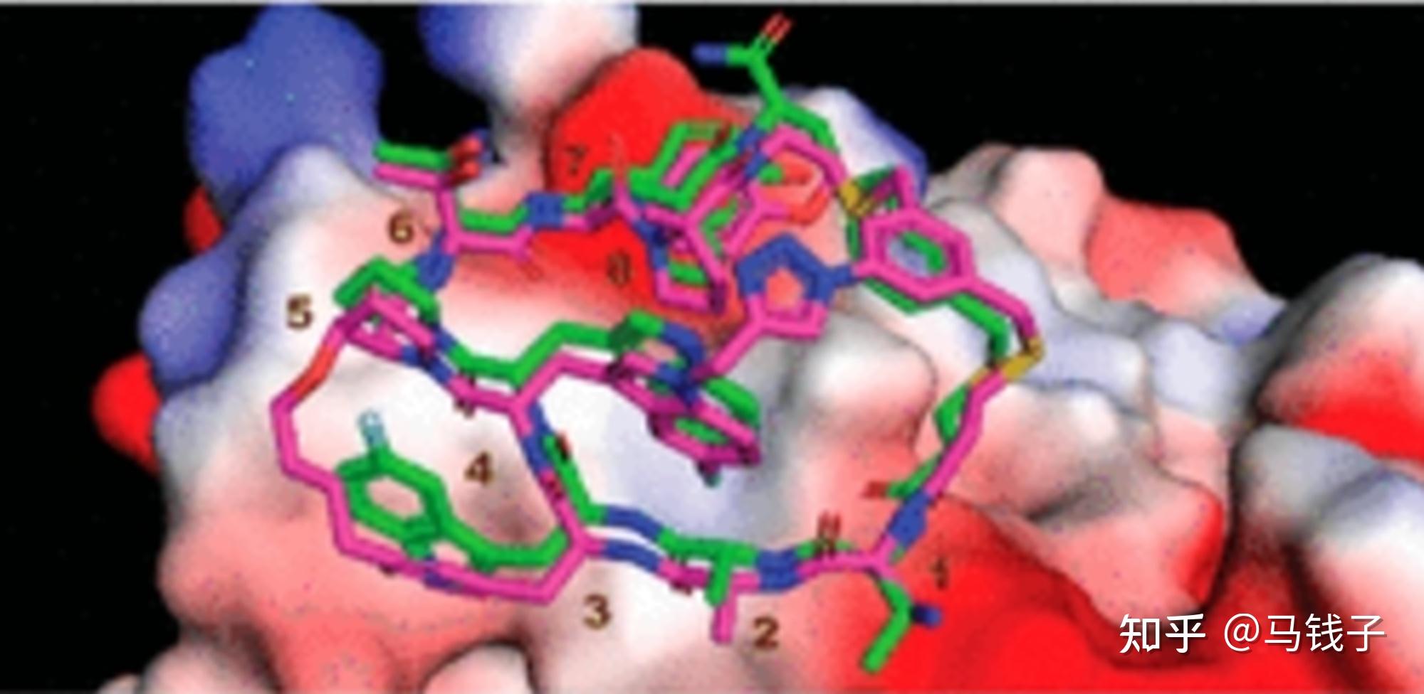 降脂药物的“王炸”——口服PCSK9抑制剂MK-0616环肽药物设计的前世今生 - 知乎