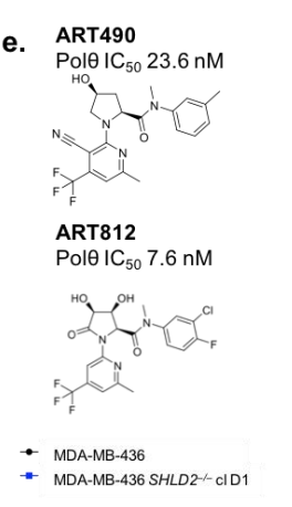 Polθ抑制剂在合成致死中的应用 - 知乎