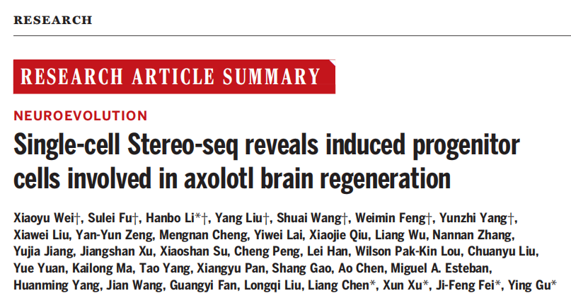文献解读 | Science封面：Stereo-seq鉴定蝾螈端脑再生过程中的重要神经干细胞亚型 - 知乎