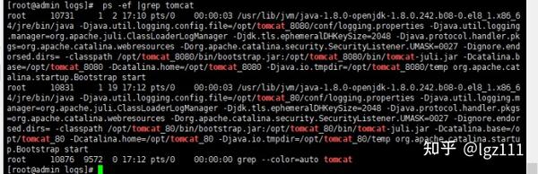 linux下安装tomcat - 知乎