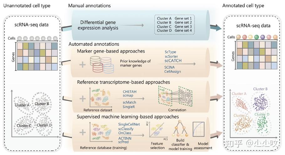 超详细 | 生物医学研究和临床应用中scRNA-seq的数据分析指南 - 知乎