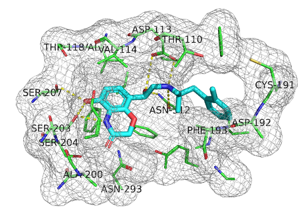pymol Ray出图 - 知乎