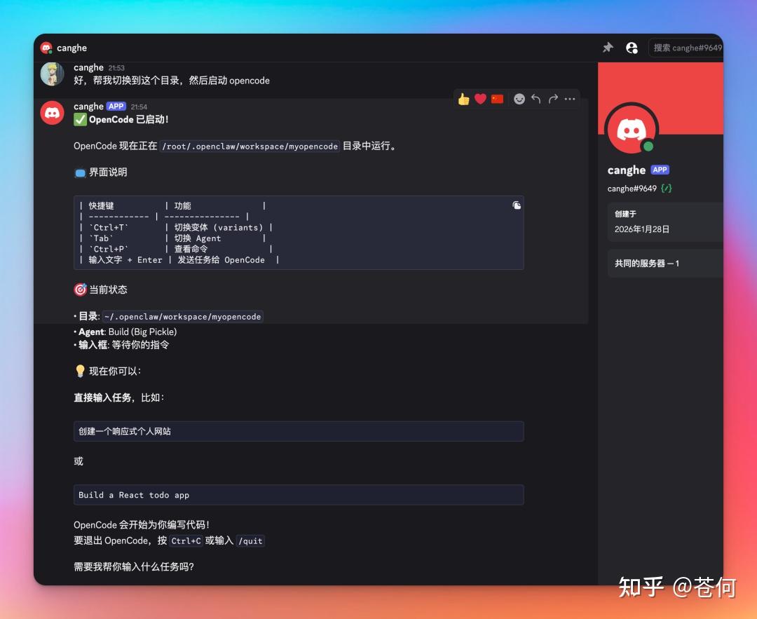 Openclaw + OpenCode 才是 vibe coding 的最棒组合！ - 知乎