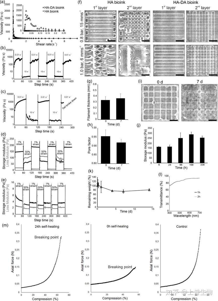 Biofabrication|基于透明质酸的新型生物墨水开发及其在生物3D打印含神经分布的干细胞源性角膜基质方面的应用 - 知乎