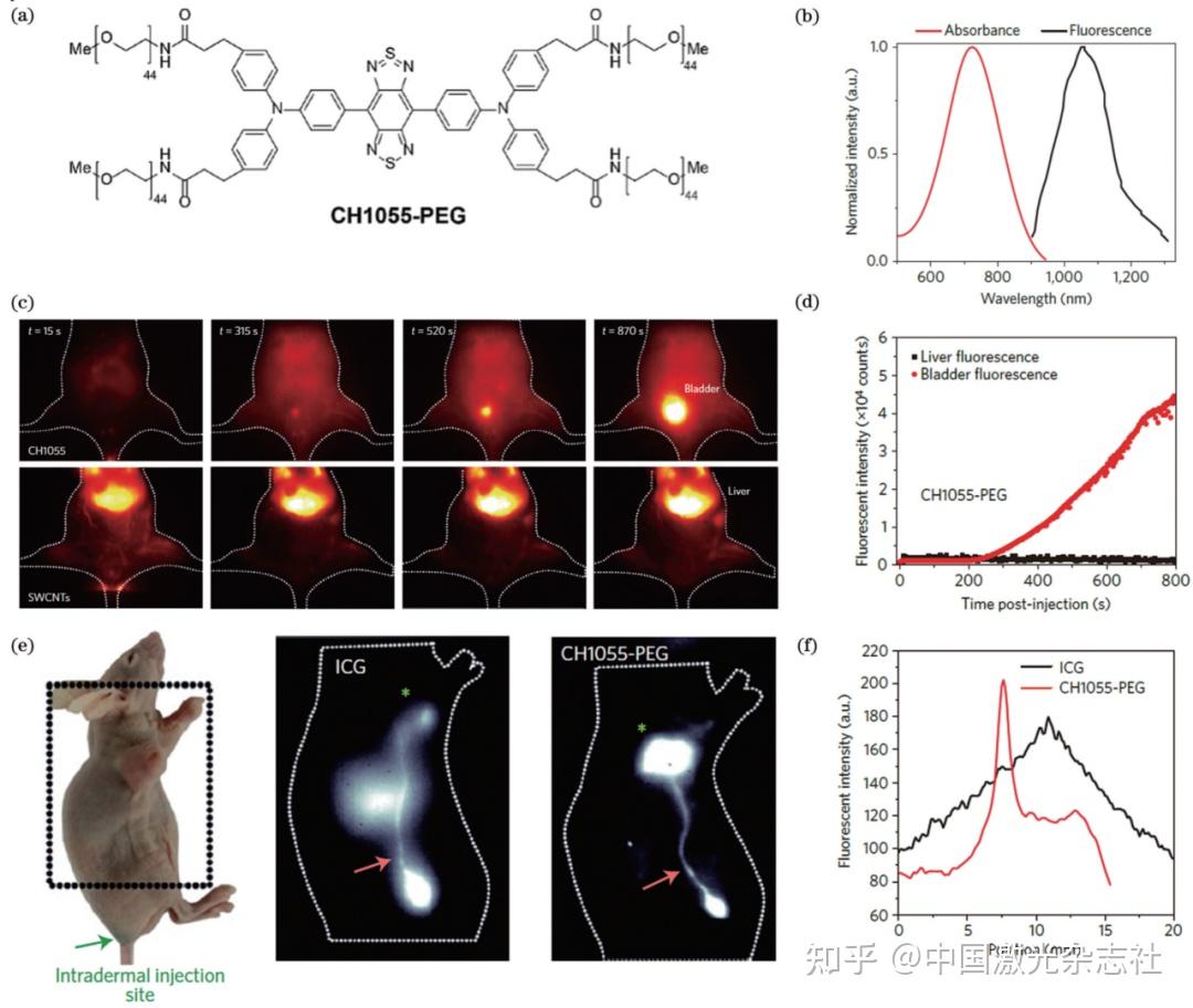封面 | 有机近红外二区荧光探针 - 知乎