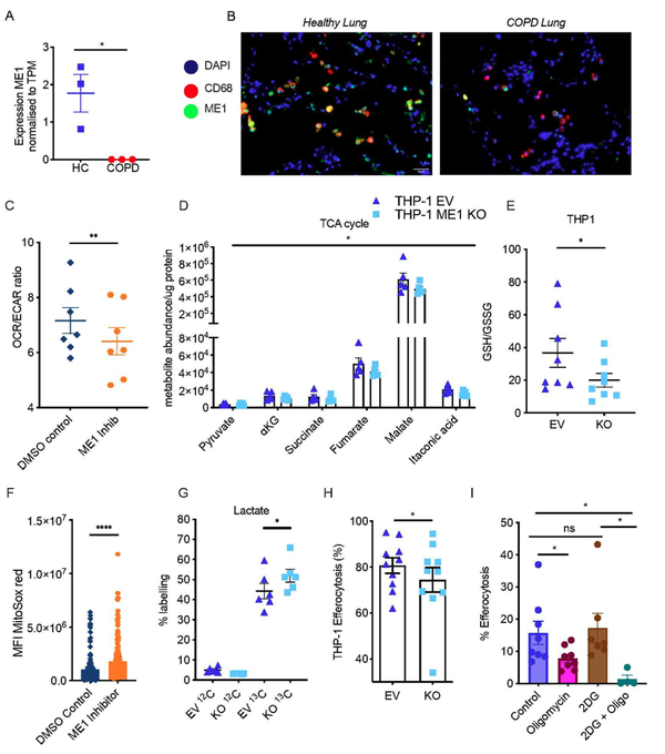美国呼吸与重症监护医学杂志丨IF 21.405丨NRF2 诱导代谢重编程以恢复 COPD 中的巨噬细胞功能 - 知乎
