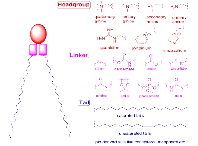 mRNA脂质递送载体LNP的处方分析（可电离脂质） - 知乎