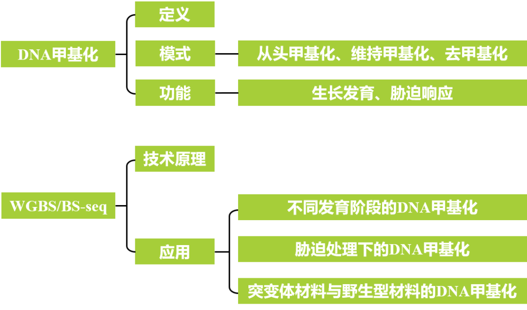 探索DNA甲基化：BS-seq技术的应用 - 知乎