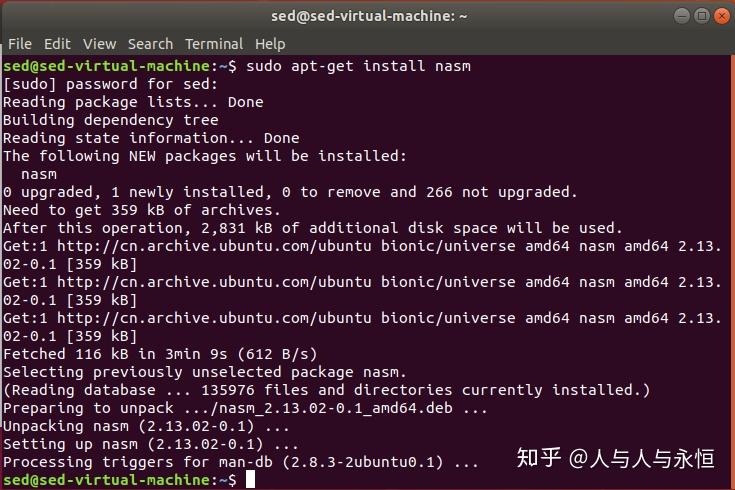 在Ubuntu上安装与使用nasm - 知乎