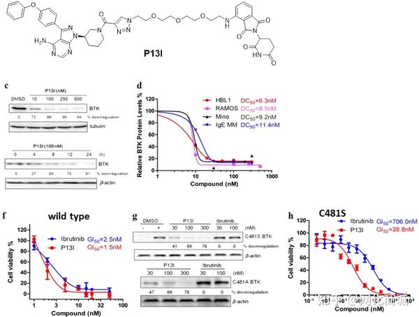 新药研发利器：PROTAC技术（最全解读） - 知乎
