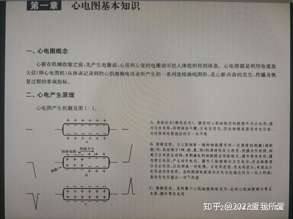2823.4.25之心电图学习一 - 知乎