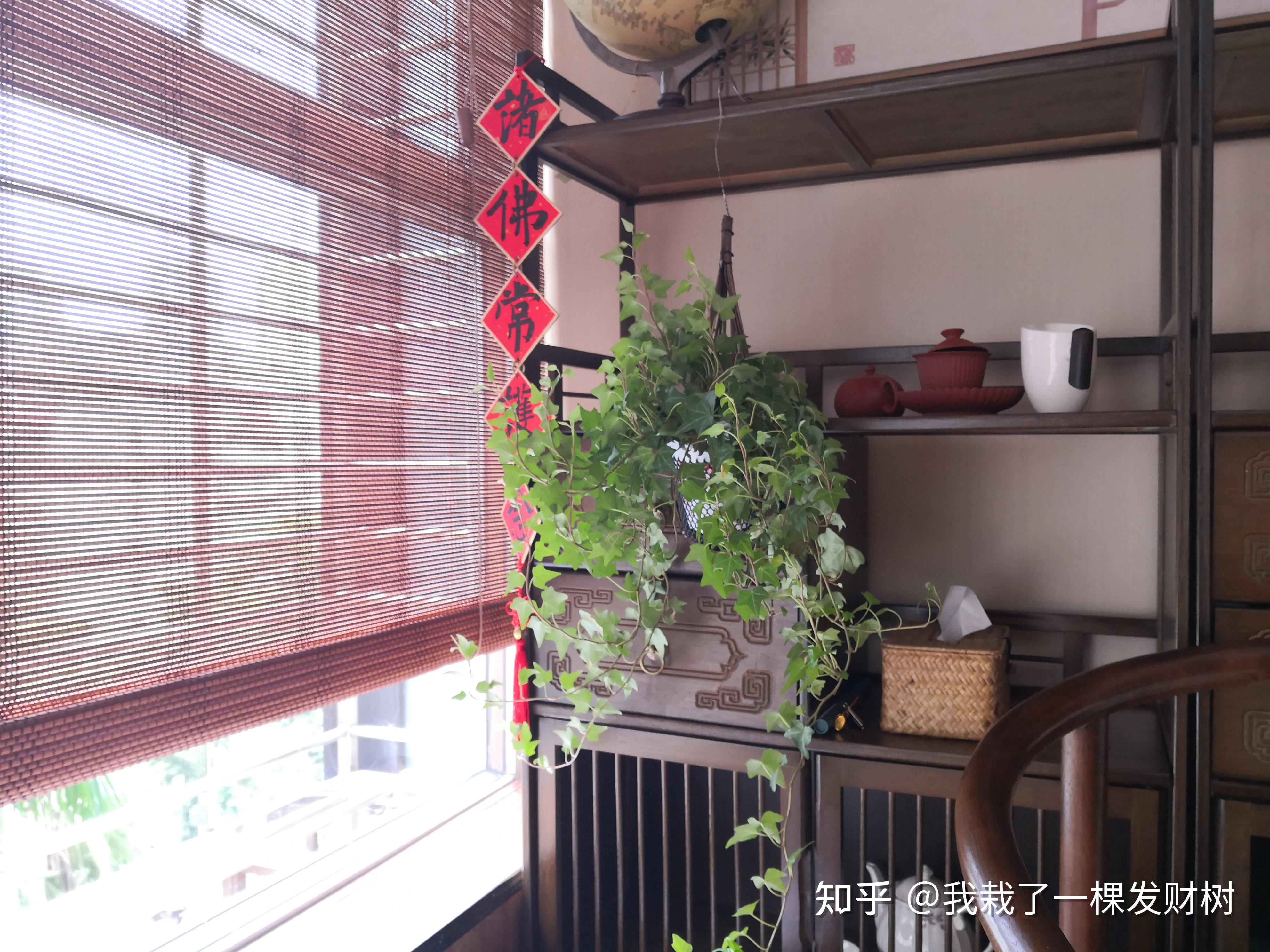 有什么值得长期坚持的好习惯? 知乎