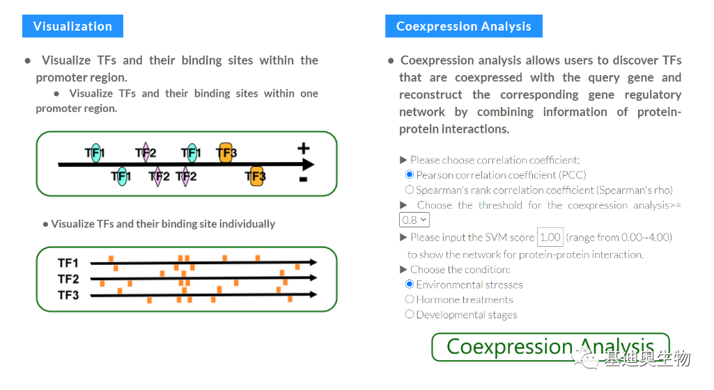 使用PlantPAN 3.0进行启动子和转录因子分析 - 知乎