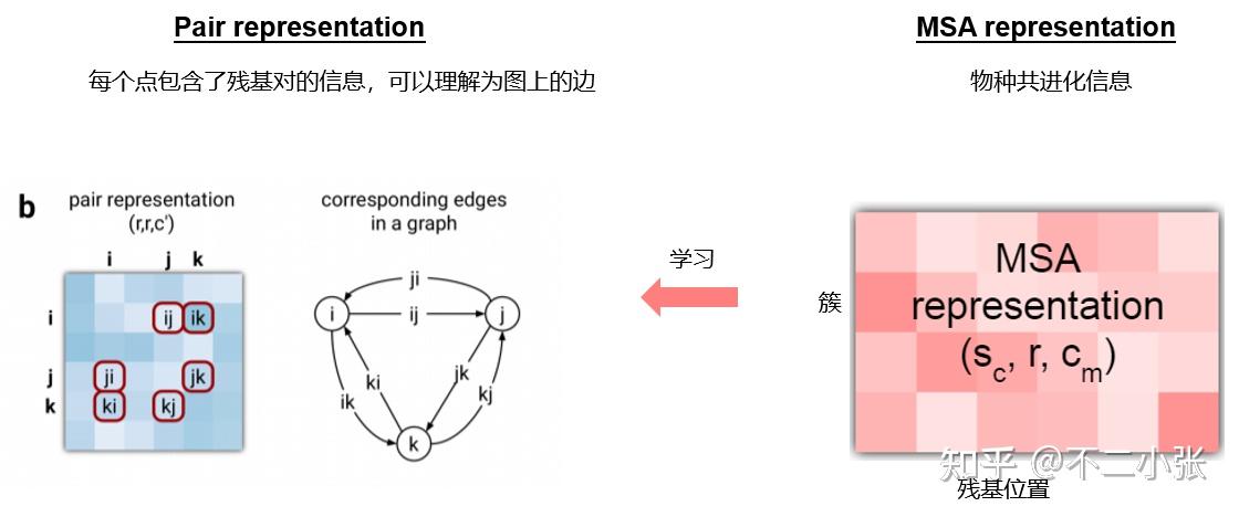 基于AlphaFold2进行蛋白质结构预测的文章解析 - 知乎