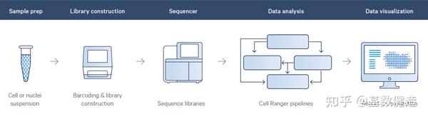 10x Genomics 的单细胞市场主导优势能否持续？ - 知乎