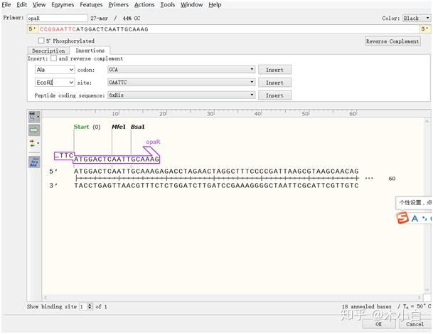 如何使用SnapGene viewer 设计蛋白表达载体PET-32a的引物 - 知乎