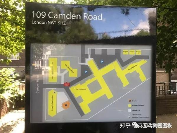 UCL宿舍揭秘：Ann Stephenson ｜Max Rayne ｜Ifor Evans Hall - 知乎