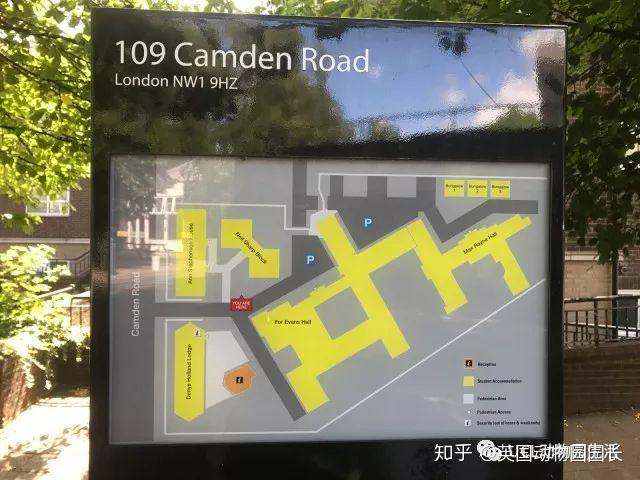 UCL宿舍揭秘：Ann Stephenson ｜Max Rayne ｜Ifor Evans Hall - 知乎