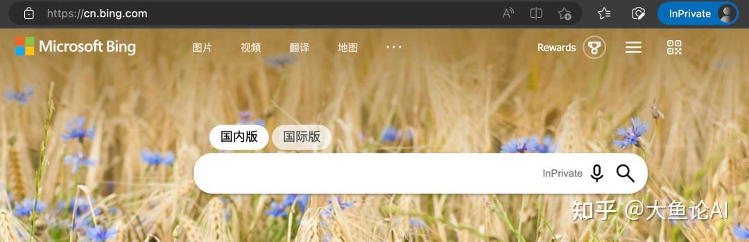微软新Bing 保姆级使用手册！巅峰级更新，AI能力全开，即可上手 - 知乎