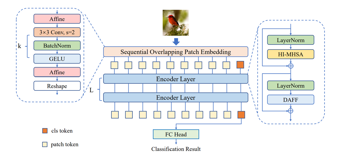 Bridging the Gap Between Vision Transformers and Convolutional Neural ...