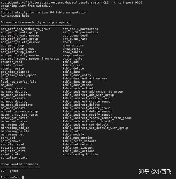 P4 tutorials 实例分析—basic - 知乎