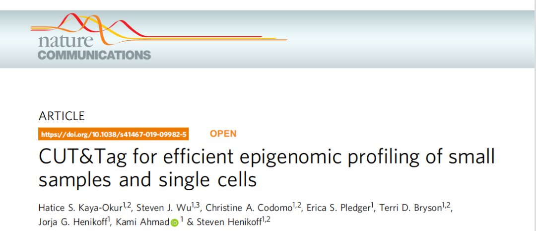 一文了解CUT&Tag技术 - 知乎