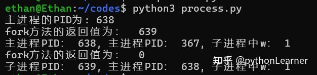 Python--并发编程--进程 - 知乎