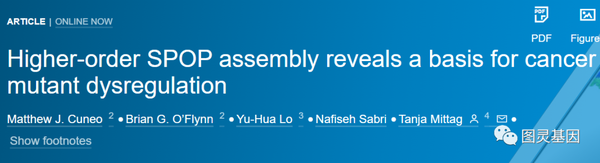 Mol Cell | 揭示SPOP蛋白如何在癌症中发挥作用 - 知乎