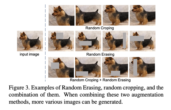 数据增强 图像遮挡：Random Erasing Data Augmentation - 知乎