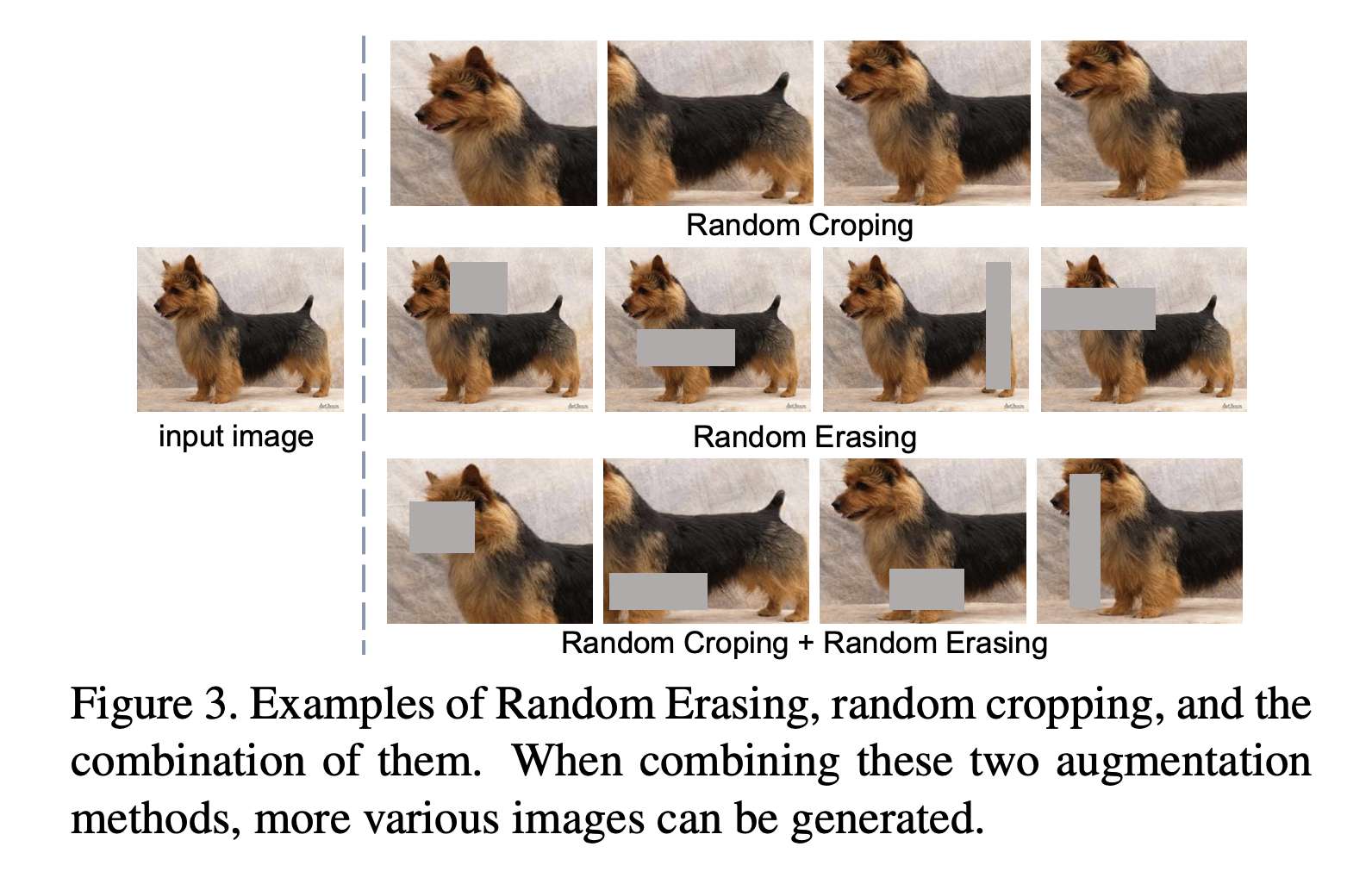 数据增强 图像遮挡：Random Erasing Data Augmentation - 知乎