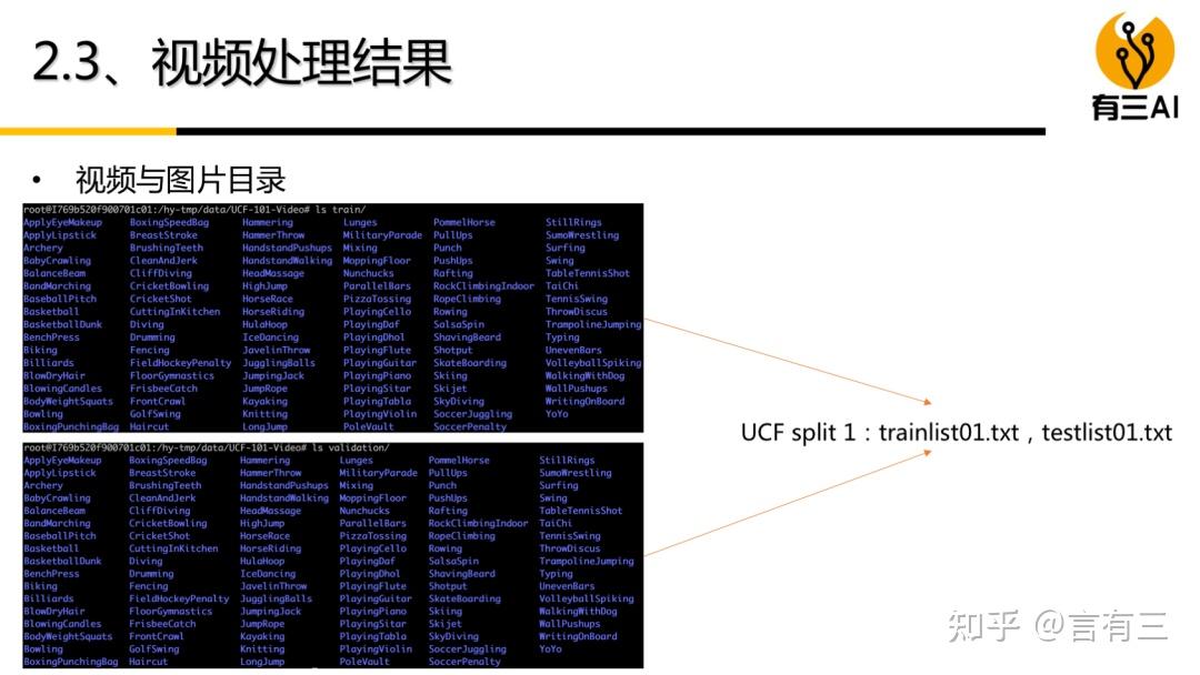 【项目实战课】基于Pytorch的SlowFast模型视频分类与行为识别实战 - 知乎