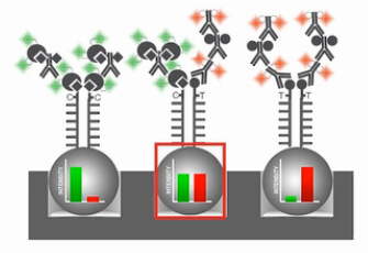 【转载】Illumina的SNP芯片原理 - 知乎