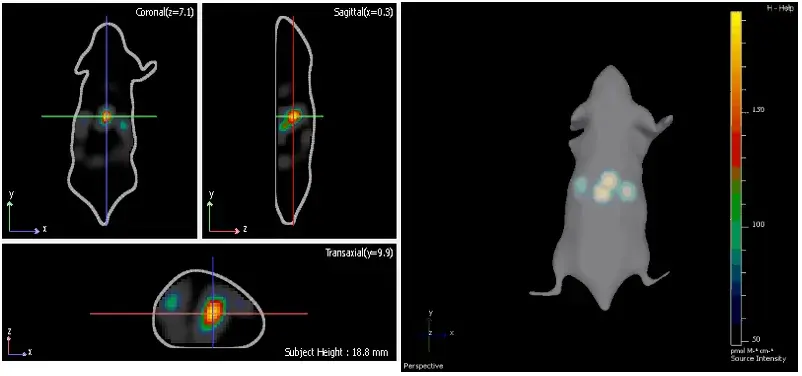 Revvity IVIS Spectrum 小动物活体光学成像系统介绍 - 知乎